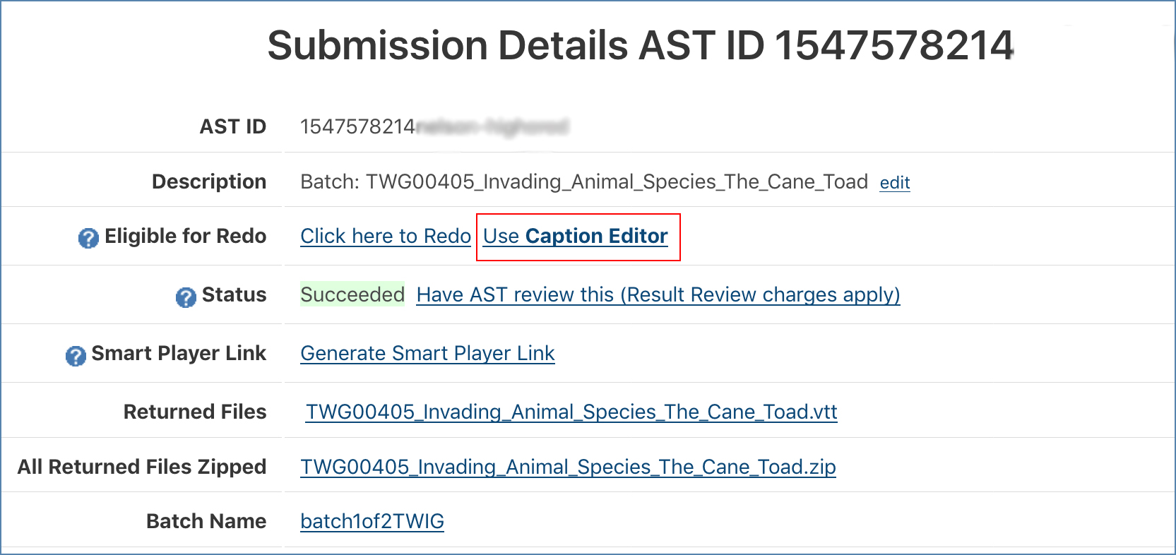 (AST) Caption Editor